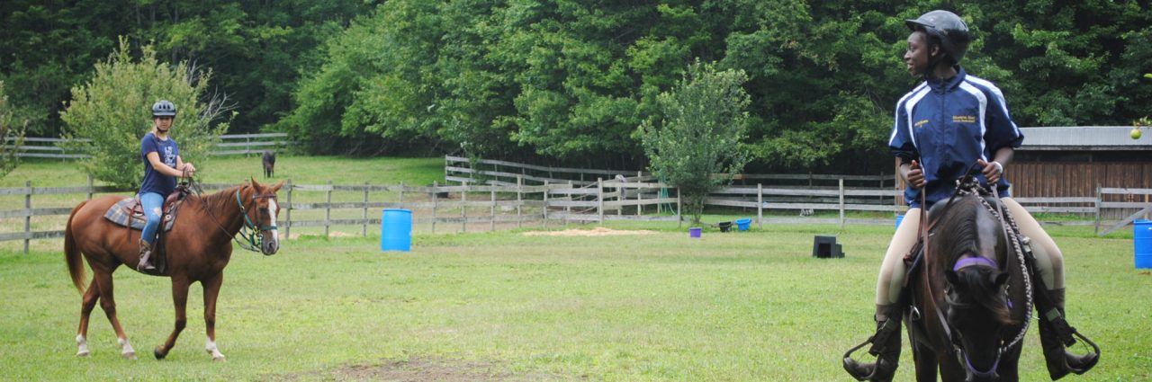 Join us for an epic State Parks adventure July 13 & 14! | Camp ...